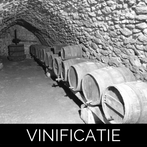 Vinificatie - Mama Drinkt Wijn